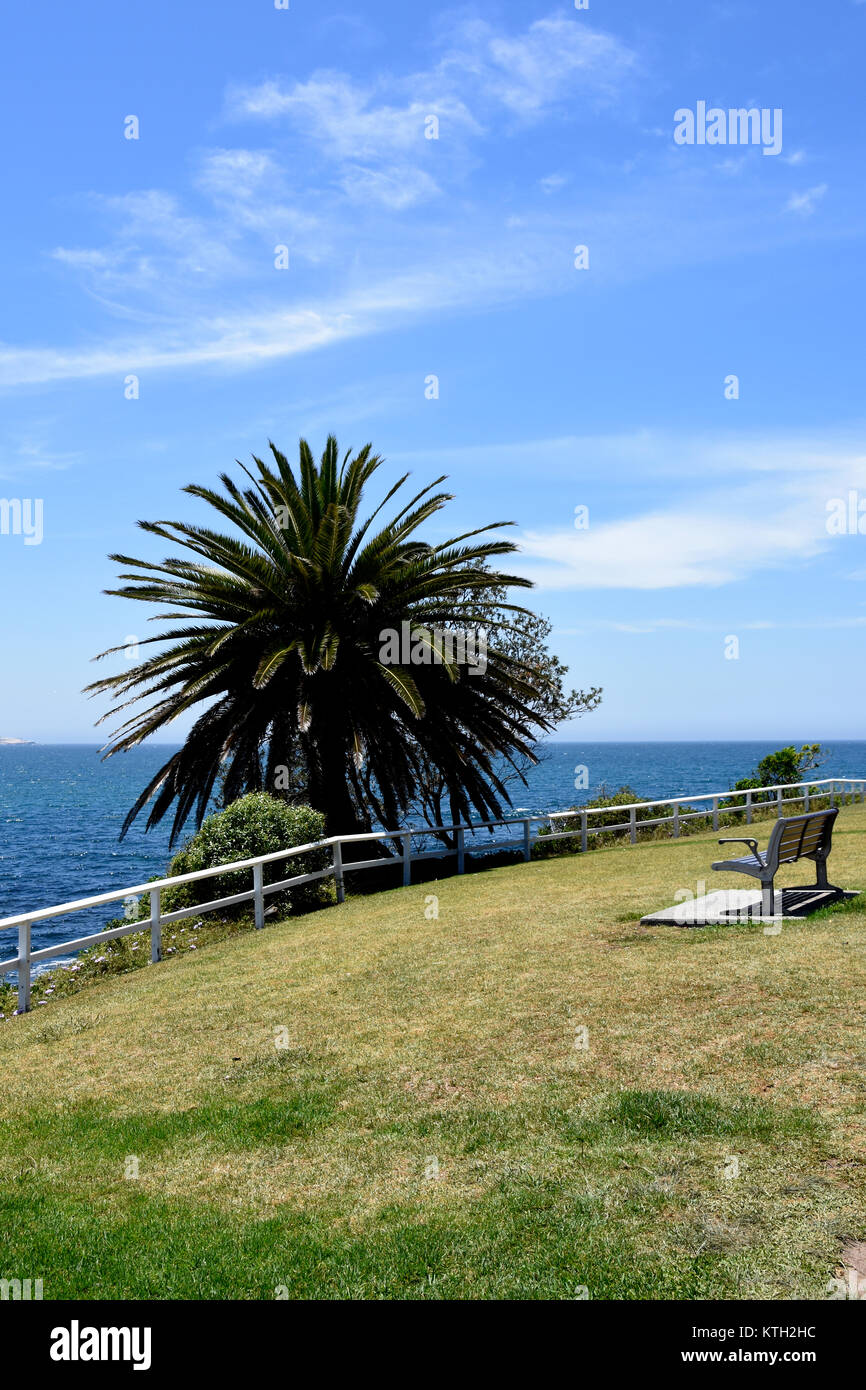 North cronulla beach hi-res stock photography and images - Alamy
