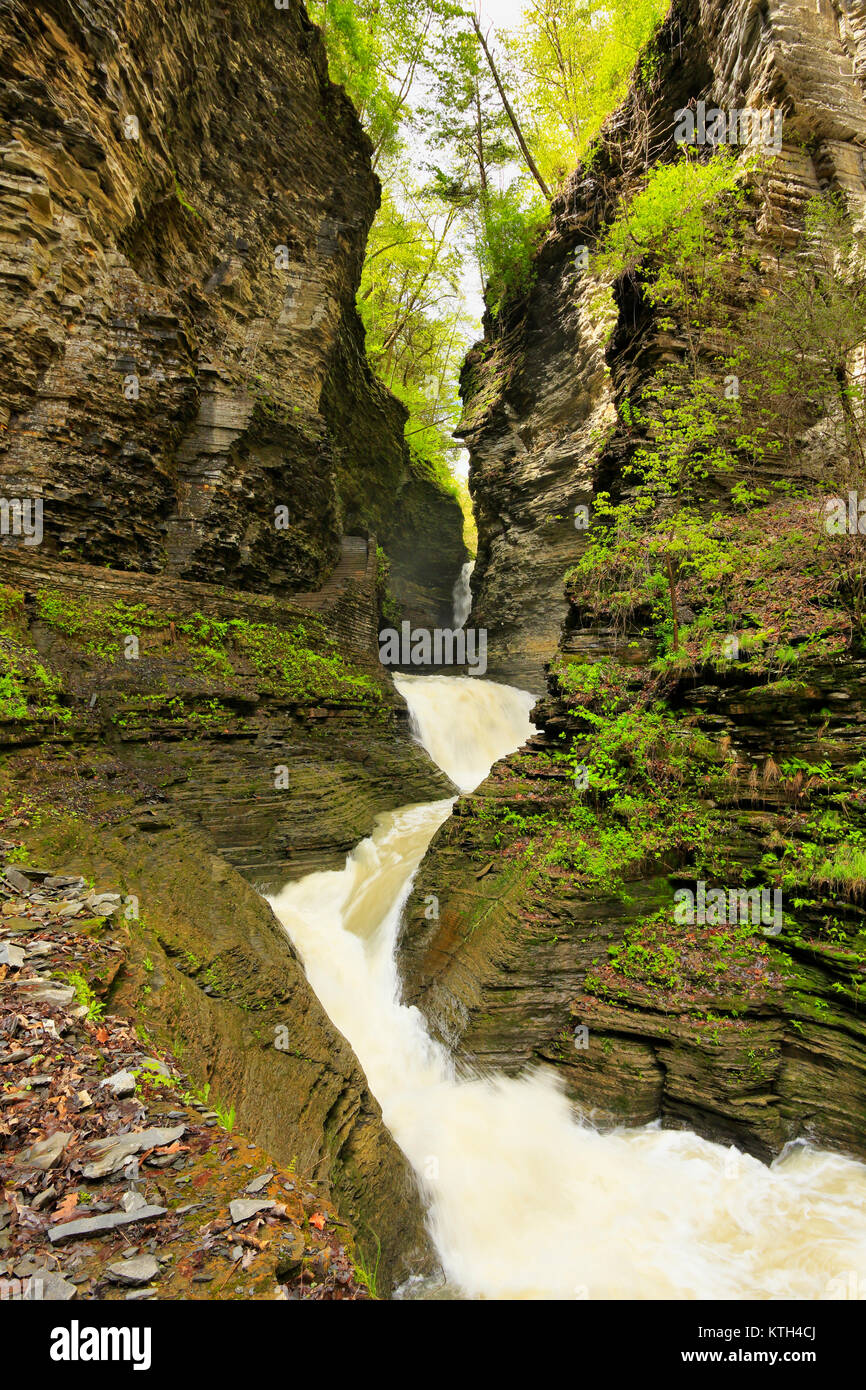 Minnehaha Falls, Gorge Trail, Watkins Glen State Park, Watkins Glen ...