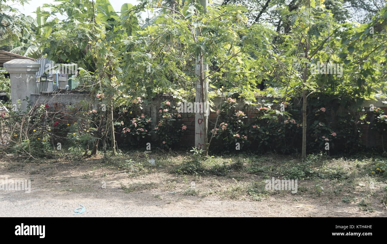 Ancient Barsaet Temple Angkor Wat Angkorian Architecture Temple ...