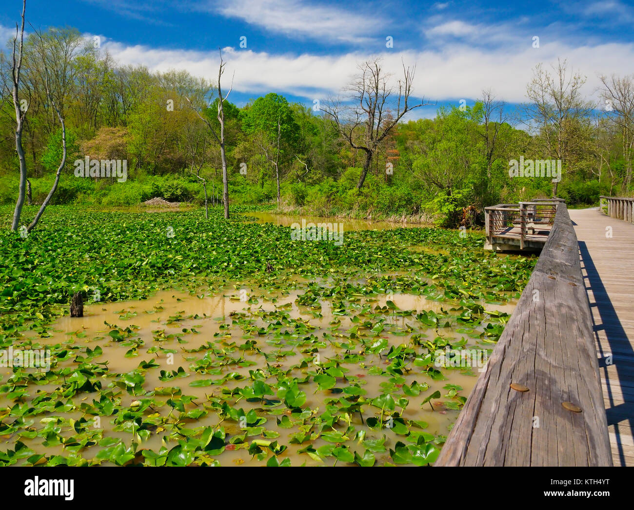 Towpath Trail Boardwallk, Beaver Marsh, Cuyahoga Valley National Park ...