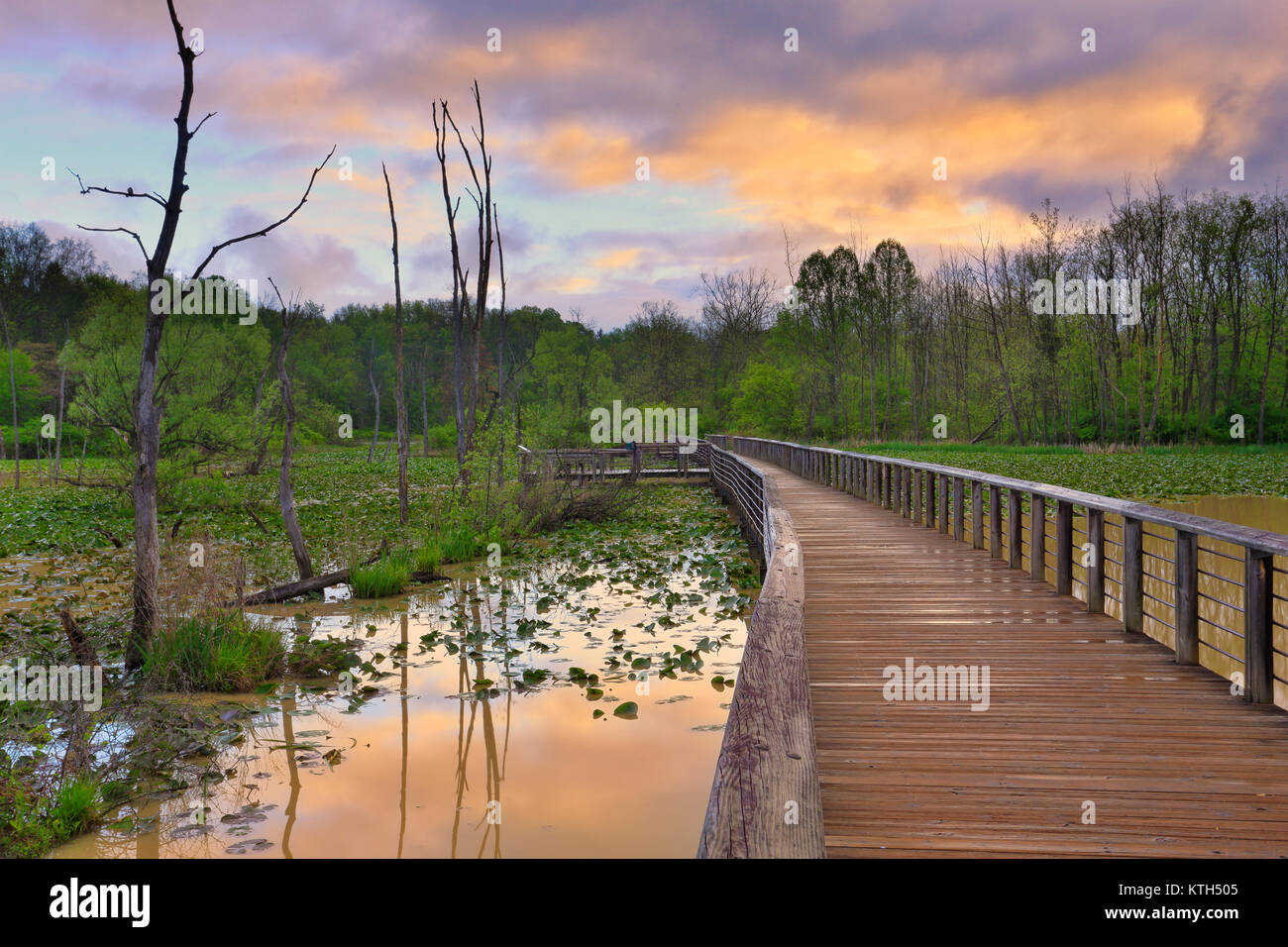 Towpath Trail Boardwallk, Beaver Marsh, Cuyahoga Valley National Park ...