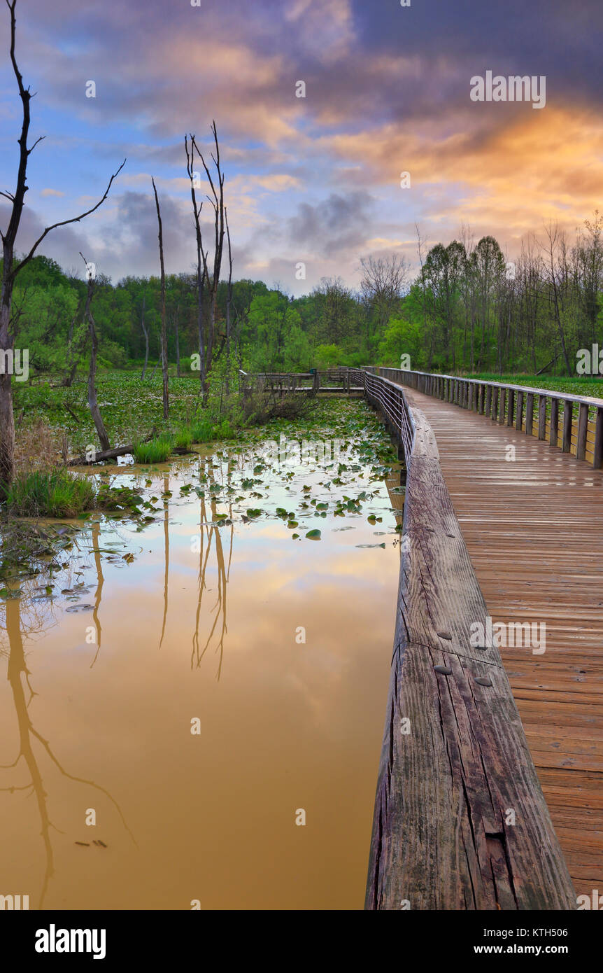 Towpath Trail Boardwallk, Beaver Marsh, Cuyahoga Valley National Park ...