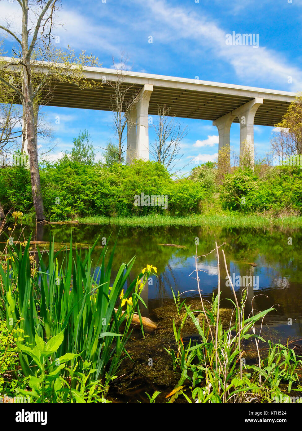 Iris, Stumpy Basin, Ohio and Erie Canal Towpath, Cuyahoga Valley ...