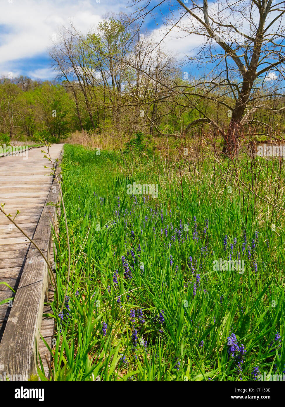Stumpy Basin, Ohio and Erie Canal Towpath, Cuyahoga Valley National ...