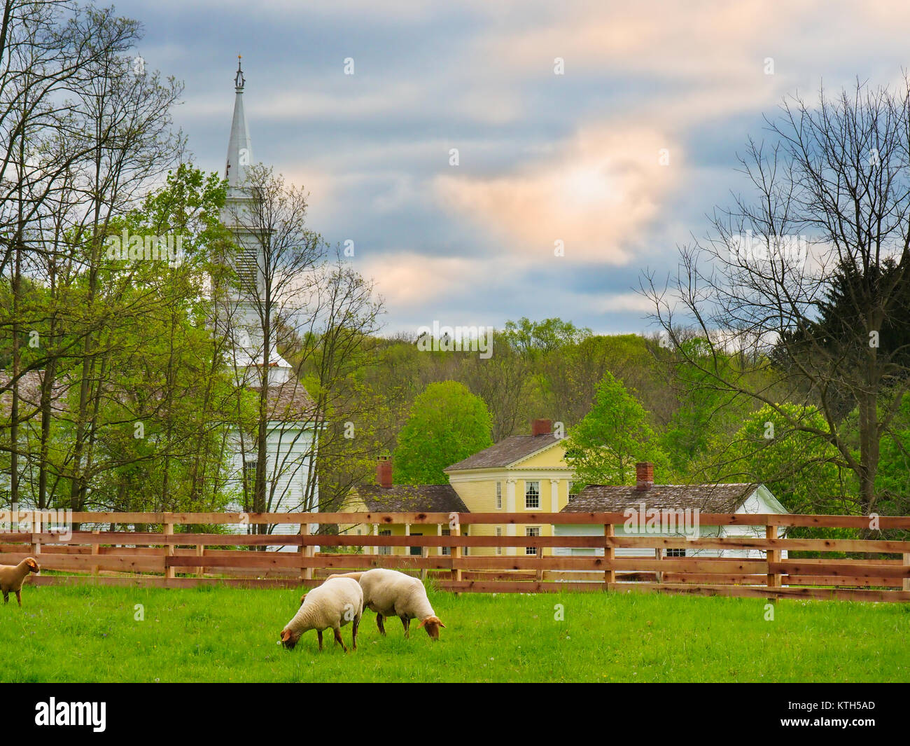 Sheep, Hale Farm and Village, Cuyahoga Valley National Park ...