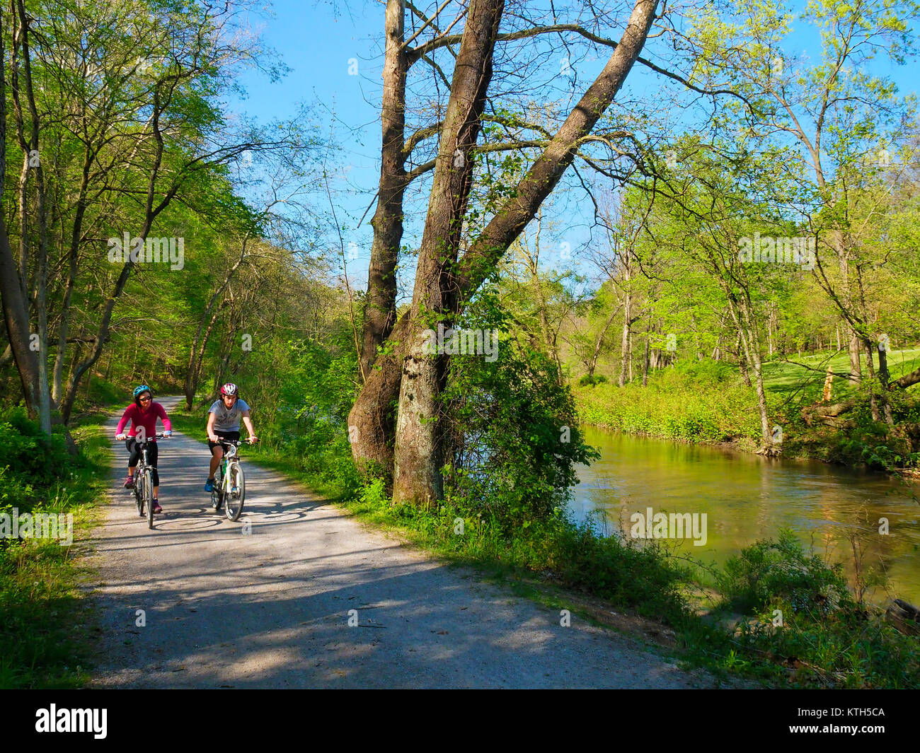 Deep forest ohio hi-res stock photography and images - Alamy