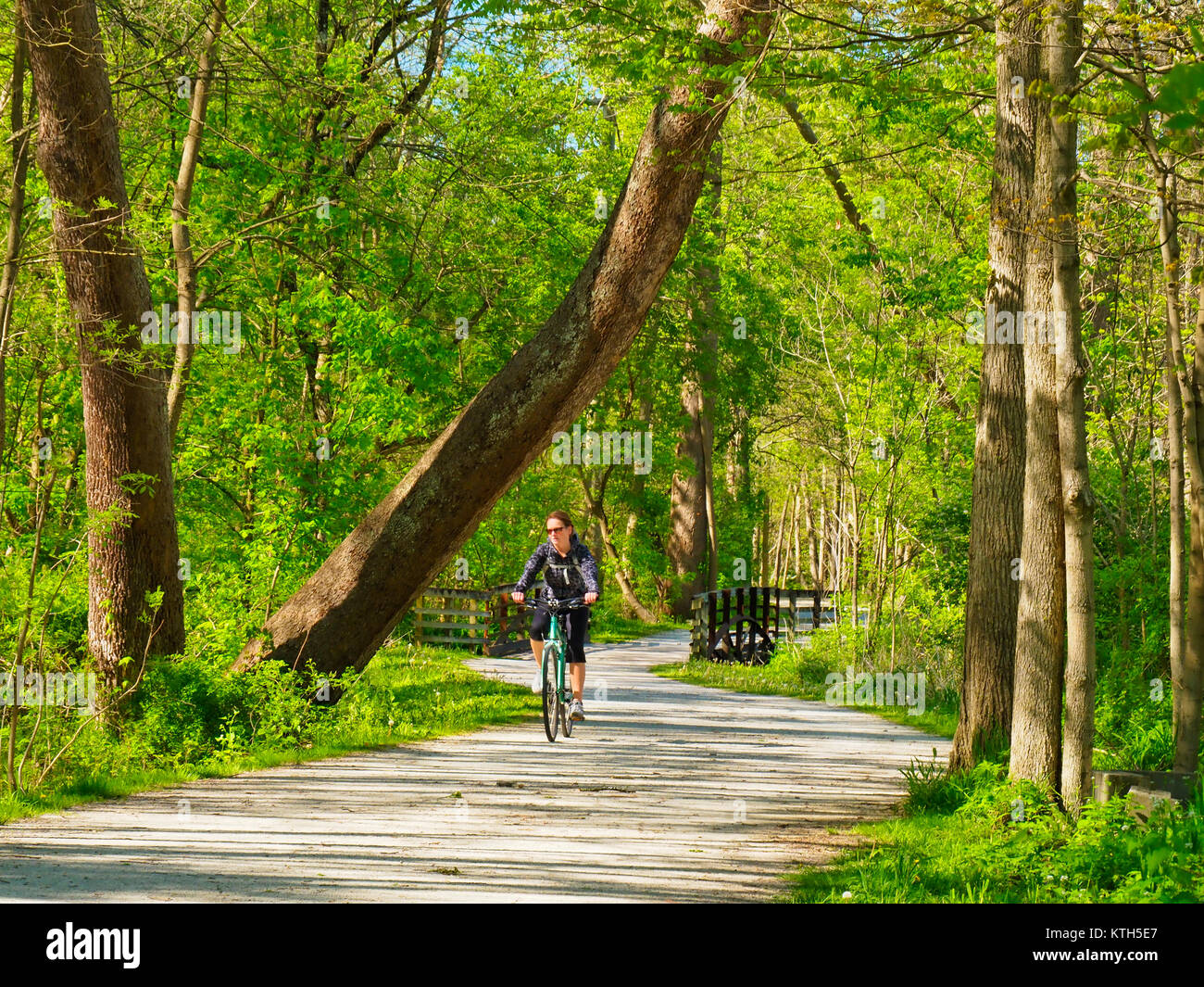 Ohio and Erie Canal Towpath, Deep Lock Quarry Area, Cuyahoga Valley ...