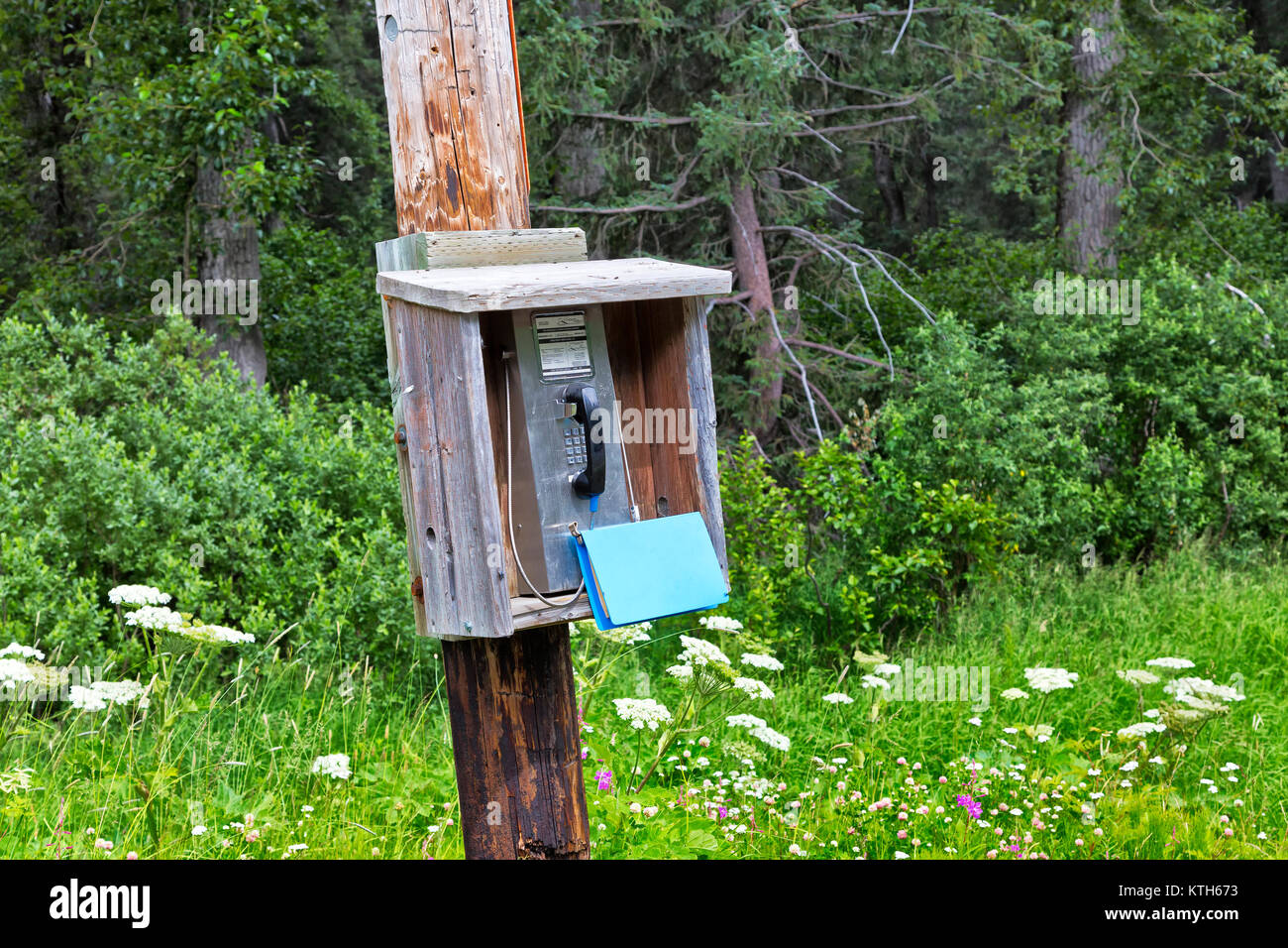 Public Payphone located on Richardson Highway Stock Photo - Alamy