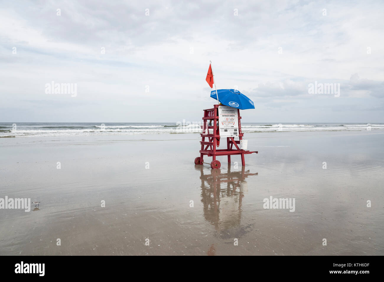 Volusia County Beach, Florida USA Stock Photo - Alamy