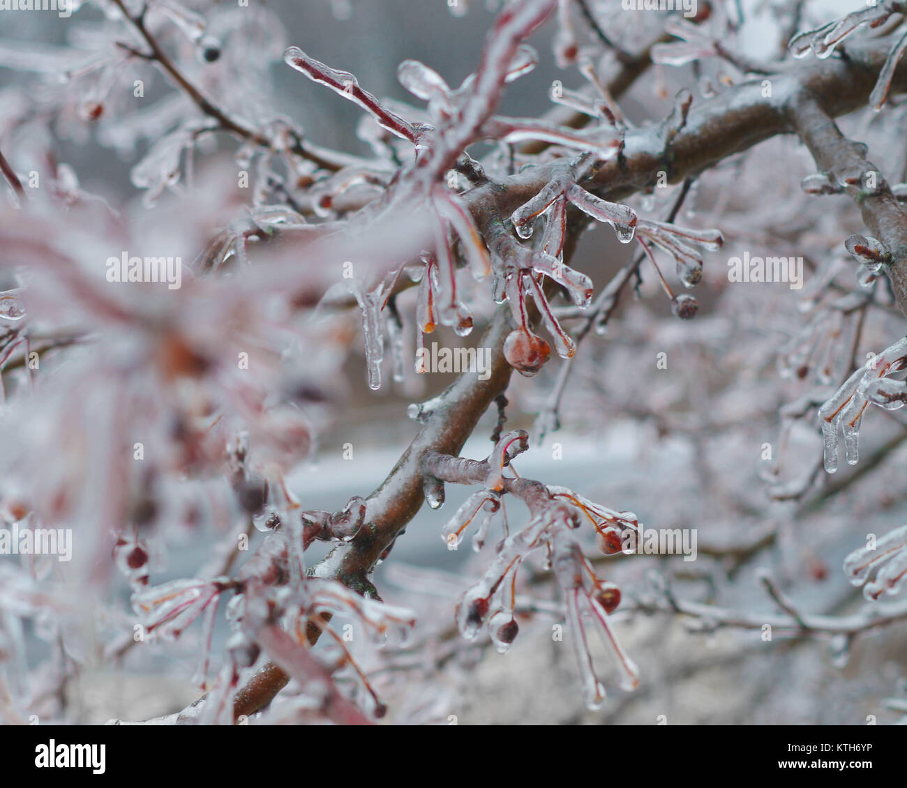Frozen drip hi-res stock photography and images - Alamy