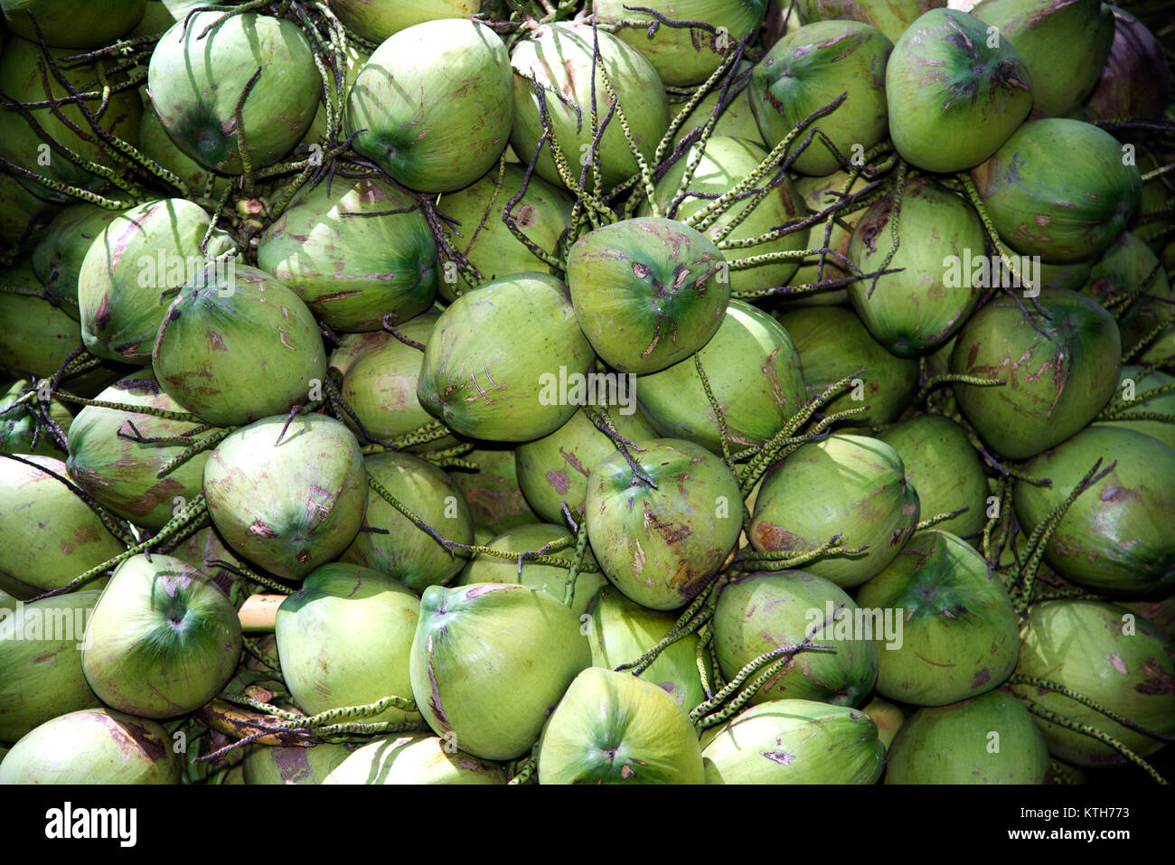 Group of Coconut on a floor for sell. Suitable for use as wallpapers ...