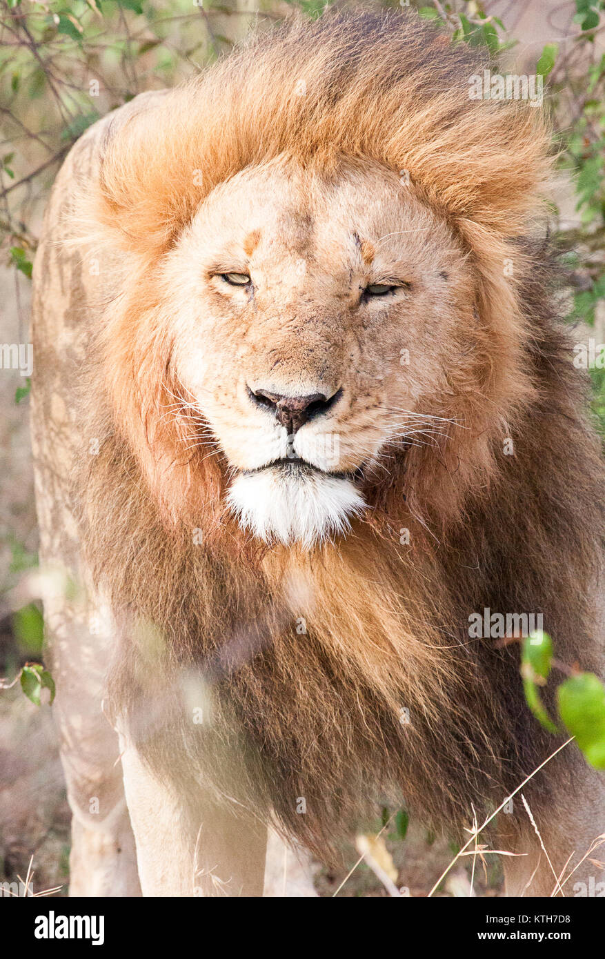 Standing in sun hi-res stock photography and images - Alamy