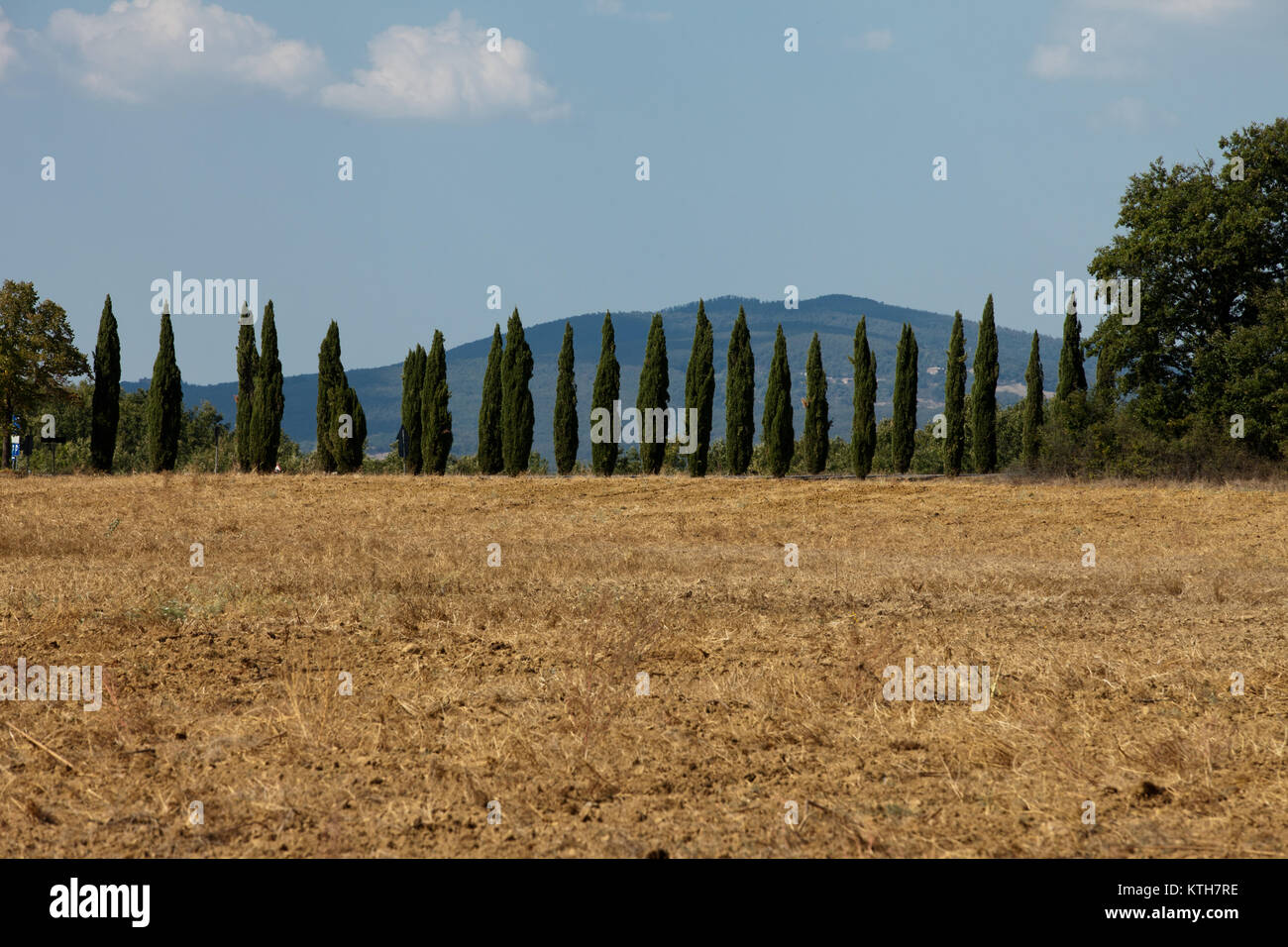 The landscape of the Tuscany. Italy Stock Photo - Alamy
