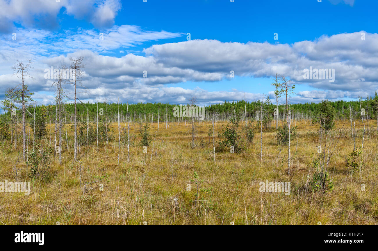 Wet terrain hi-res stock photography and images - Alamy