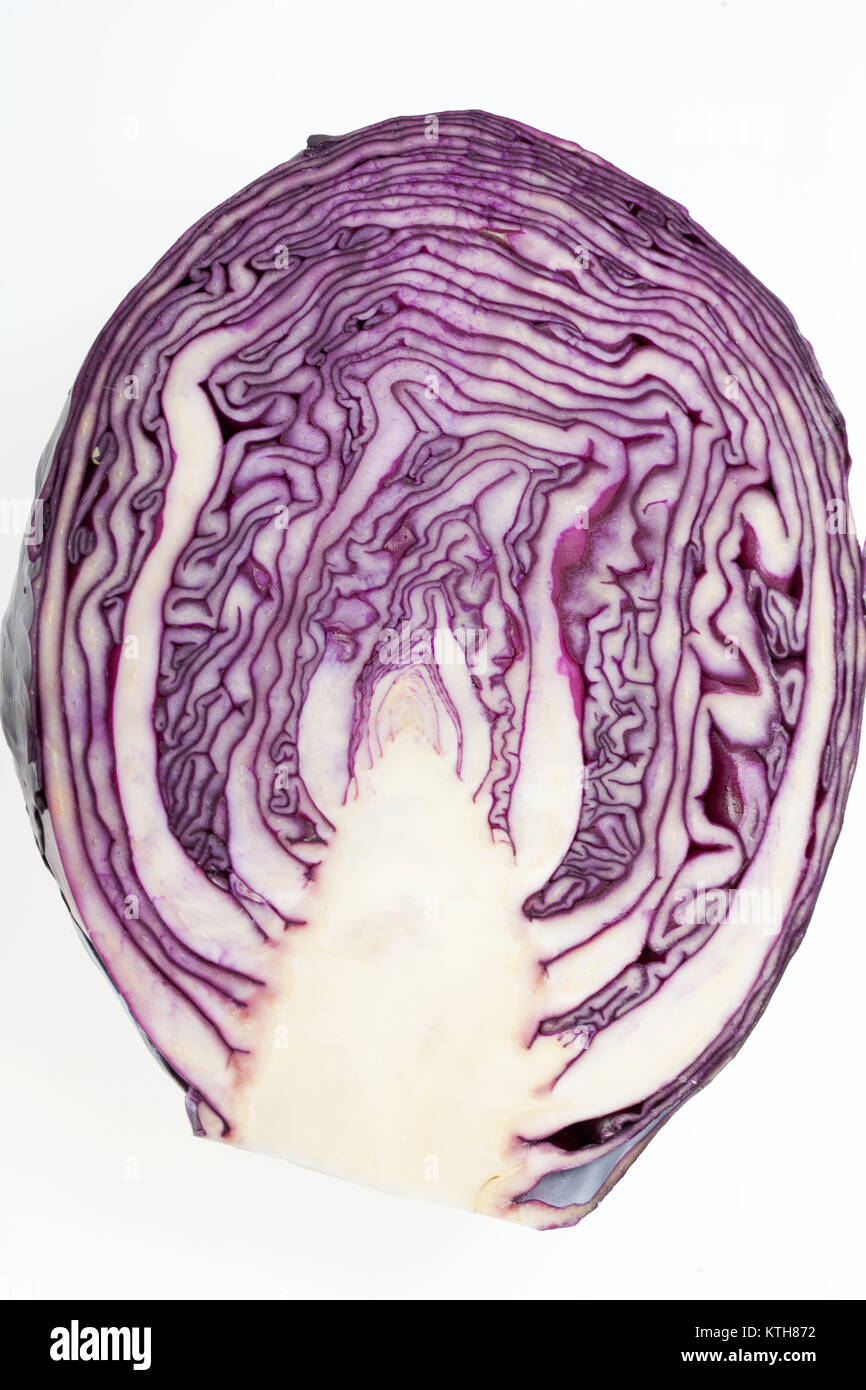 Red Cabbage cross section on White Background Stock Photo - Alamy