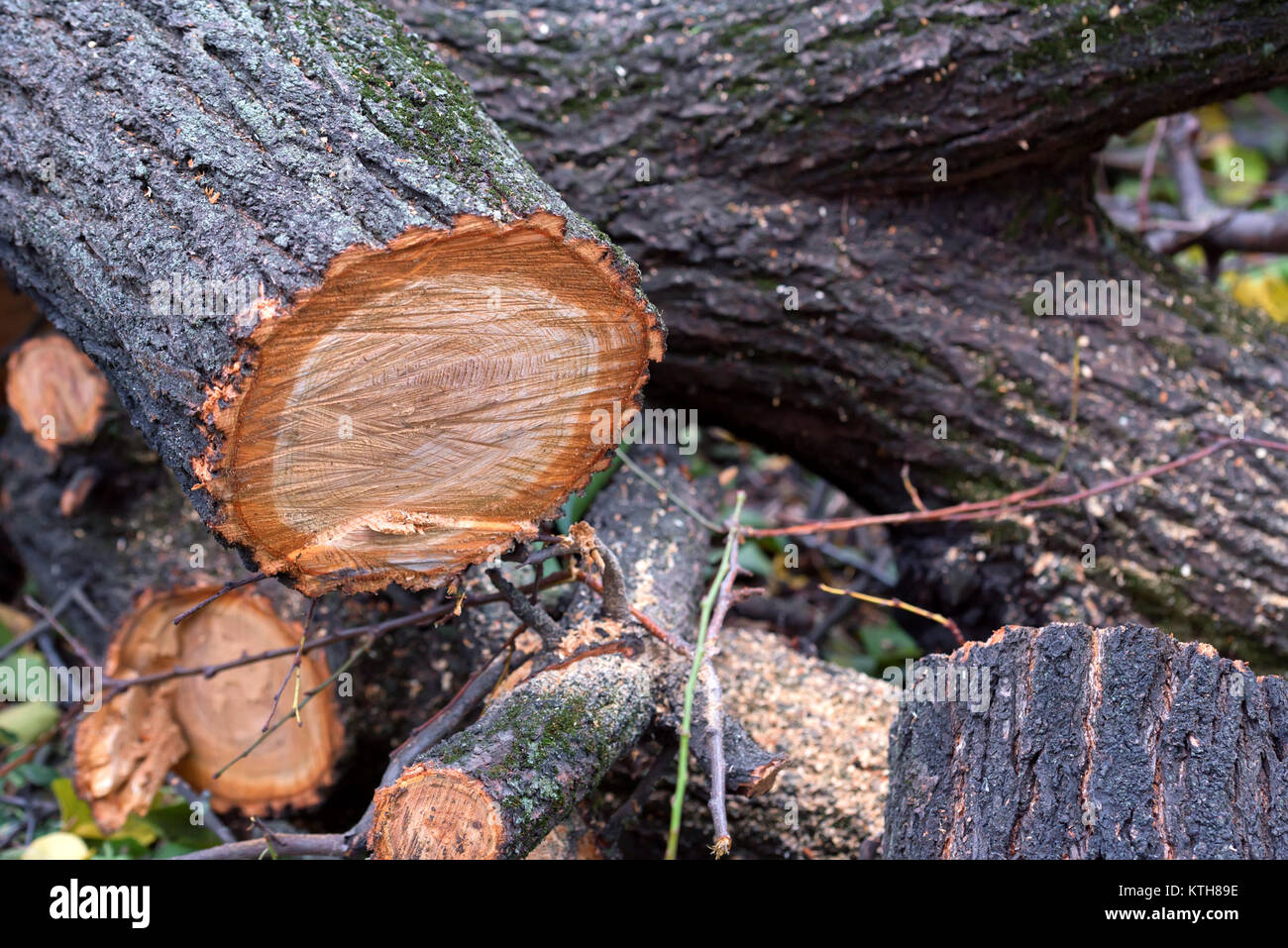 Timber depot hi-res stock photography and images - Alamy