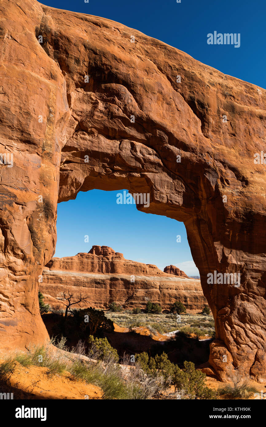 Pine Tree Arch, Arches National Park, Utah Stock Photo - Alamy
