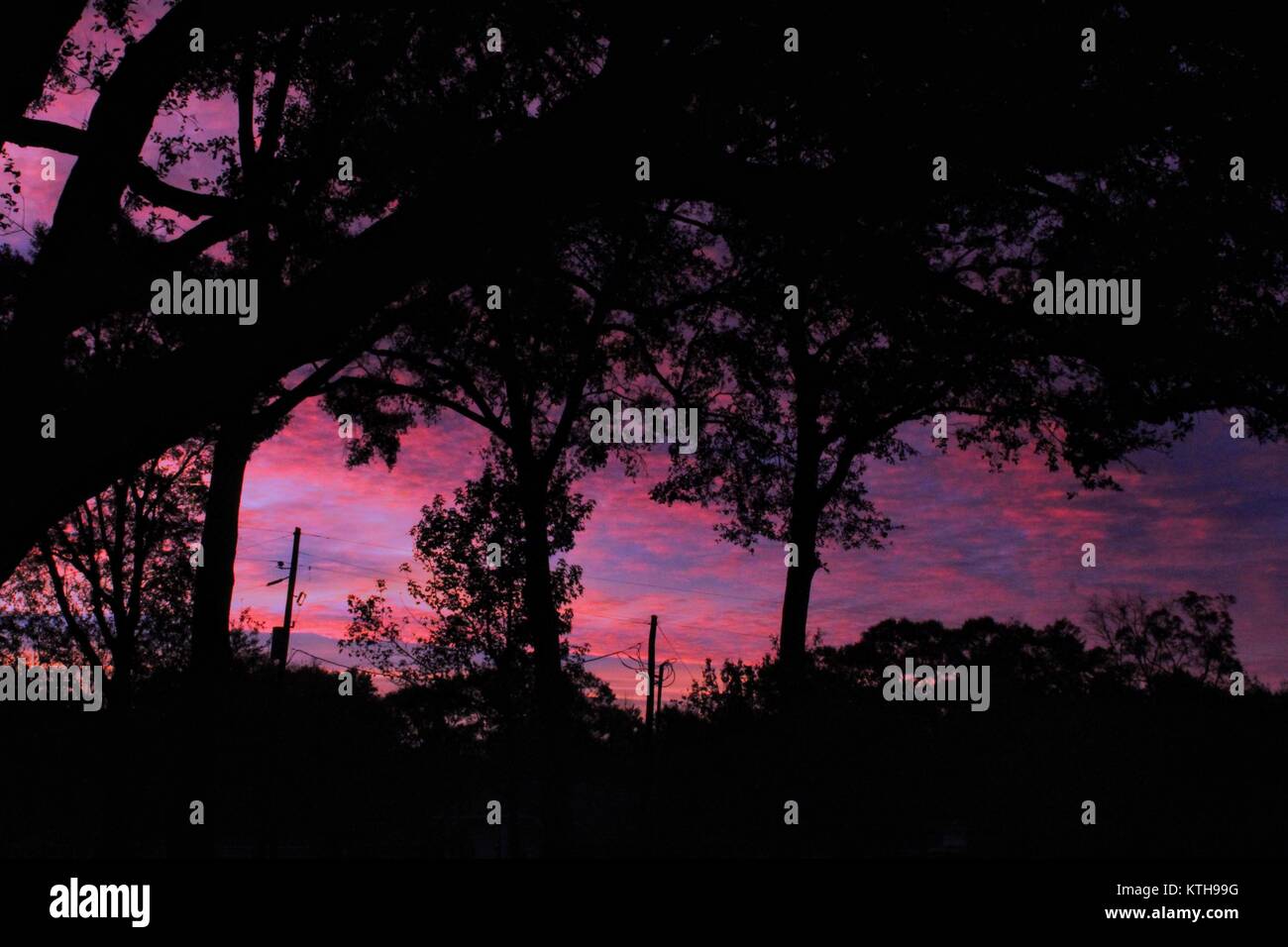 beautiful purple sunset Stock Photo - Alamy