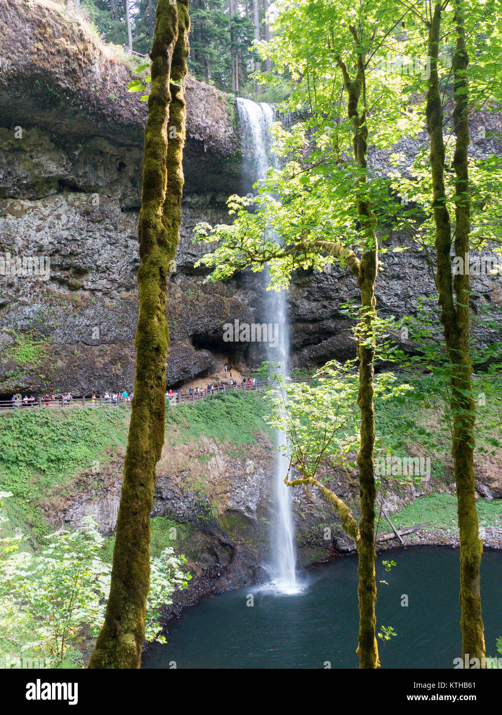 Oregon: Silver Falls State Park Stock Photo - Alamy