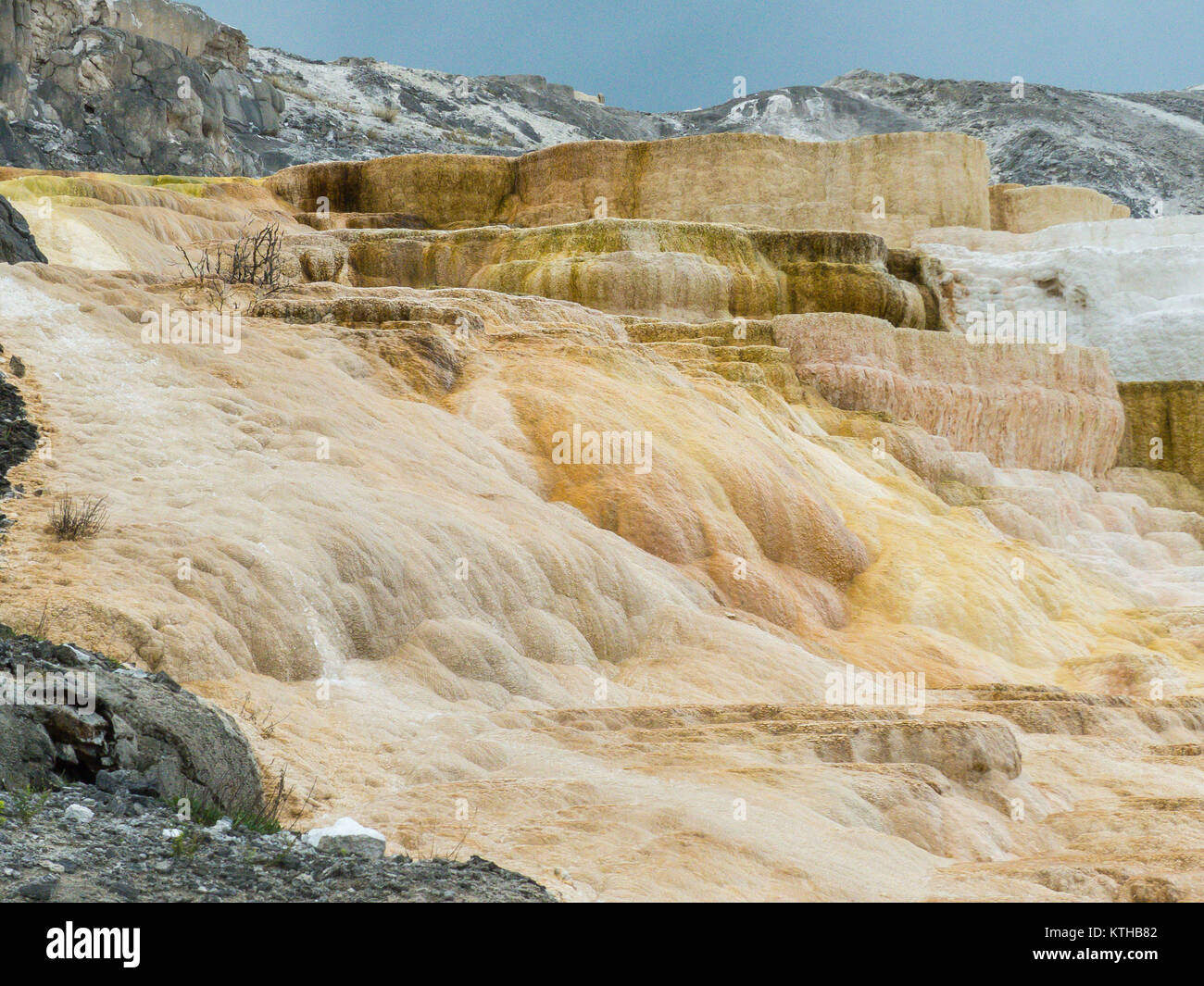 Yellowstone National Park: Minerva Terrace at Mammoth Hot Springs Stock ...