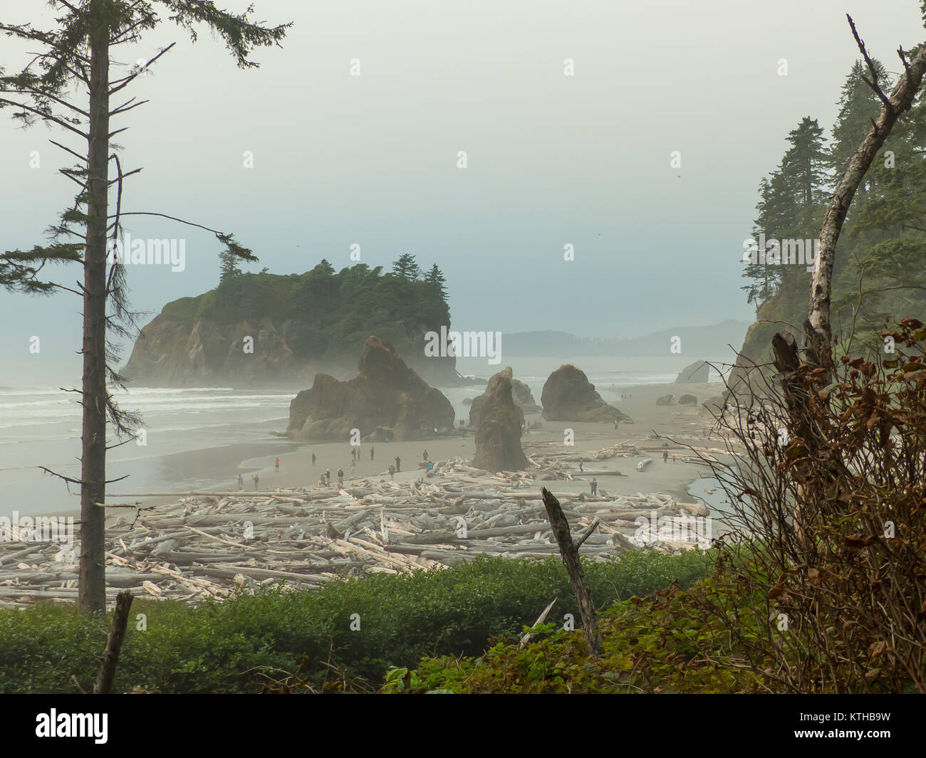 Ruby Beach and Abbey Island, Olympic National Park, Washington Stock ...