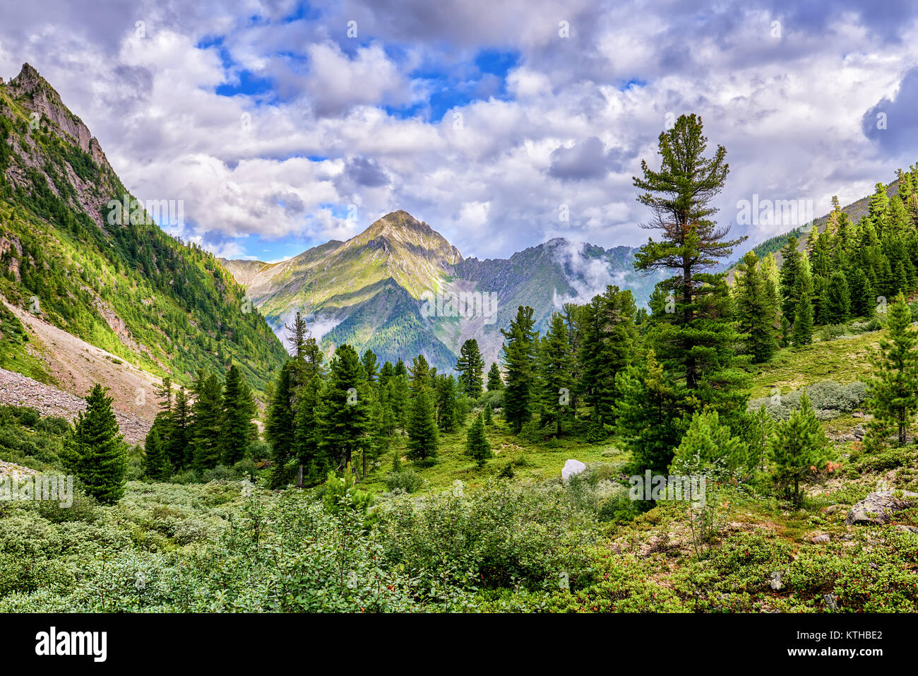Siberian tundra taiga hi-res stock photography and images - Alamy
