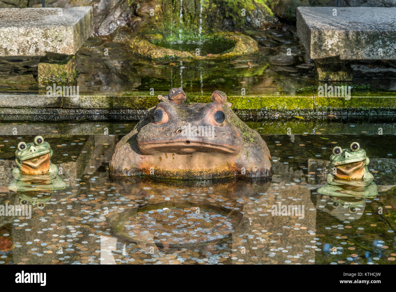 Frog in a pond with coins thrown in for good luck at the gardens of ...