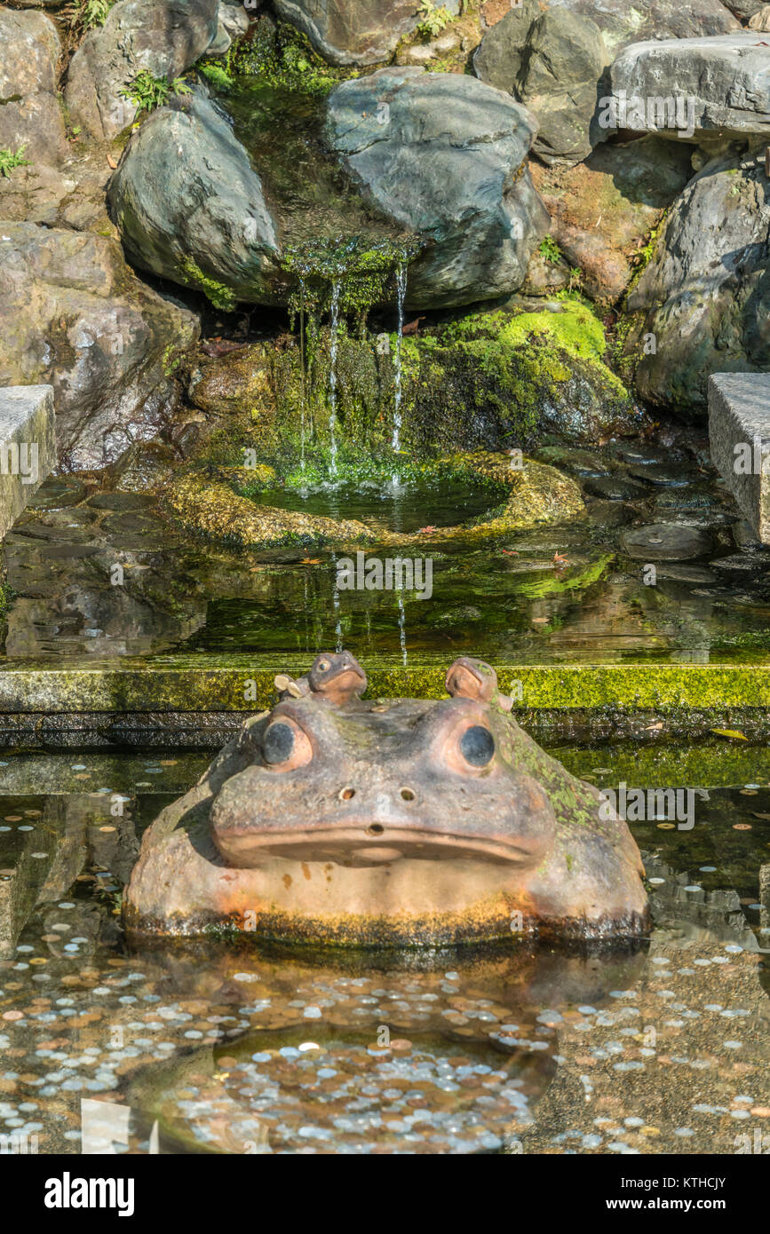 Frog in a pond with coins thrown in for good luck at the gardens of ...