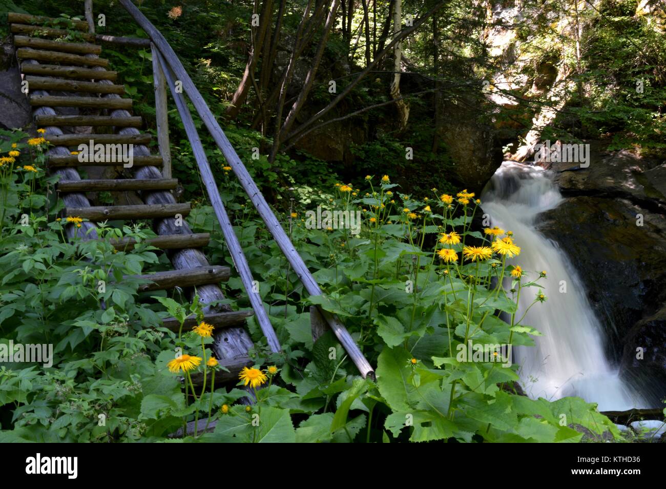 waterfall and stairs Stock Photo - Alamy