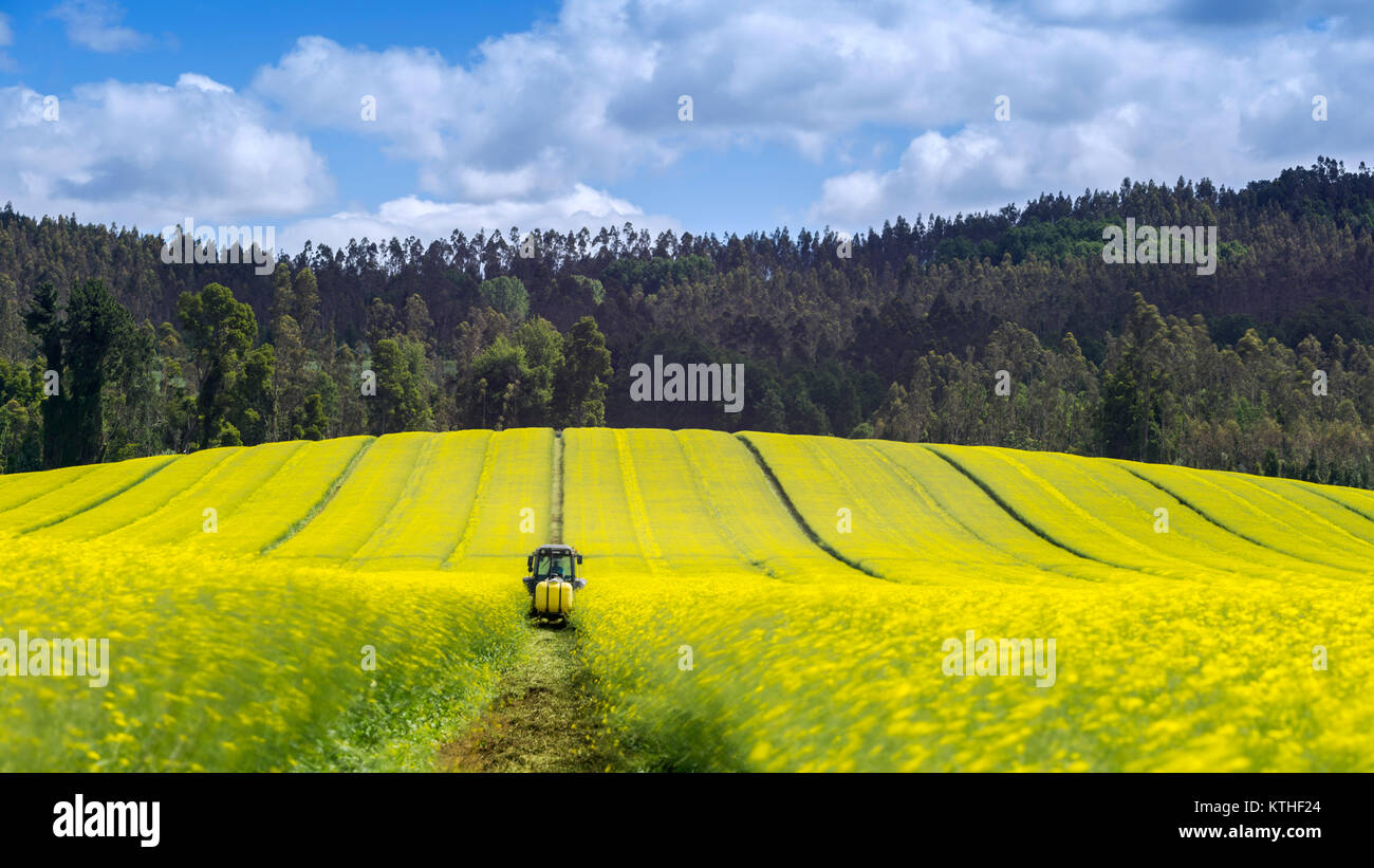 Cultivo de colores hi-res stock photography and images - Alamy