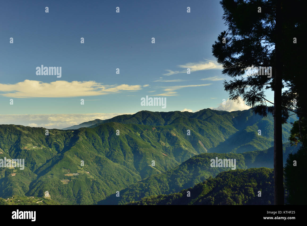 frowning,frown, pull a long face, wear a troubled look,grief,pensive ...