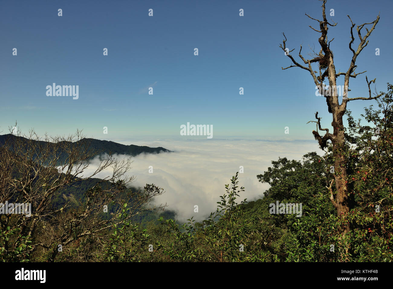 frowning,frown, pull a long face, wear a troubled look,grief,pensive ...