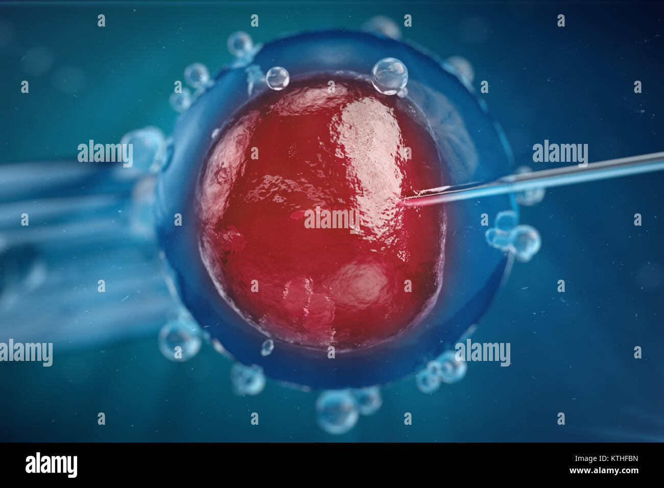3D Illustration In vitro fertilisation , Injecting sperm into egg cell ...