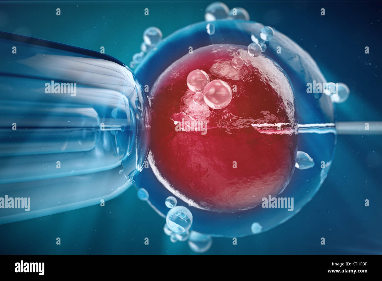 3D Illustration In vitro fertilisation , Injecting sperm into egg cell ...
