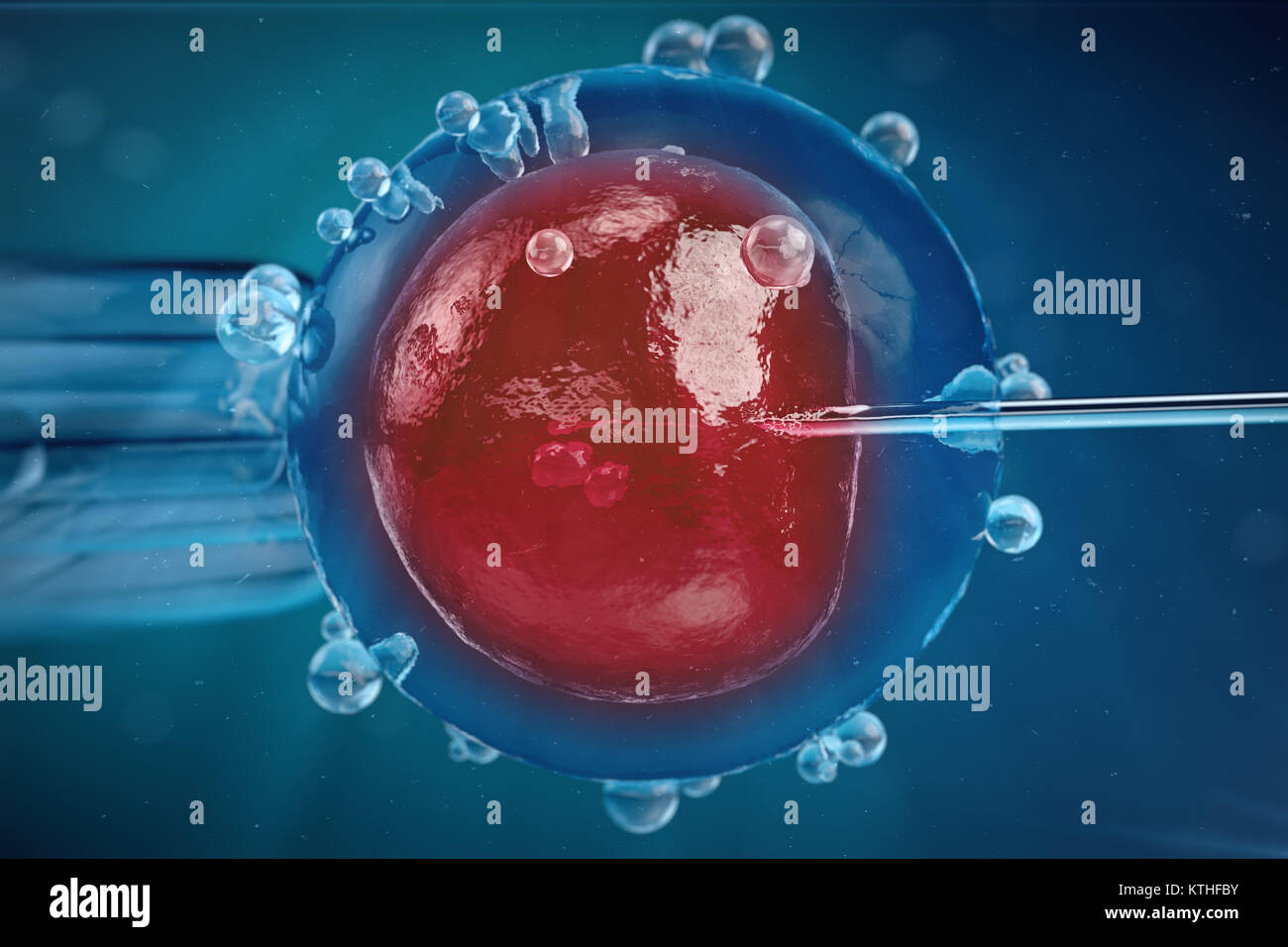 3D Illustration In vitro fertilisation , Injecting sperm into egg cell ...