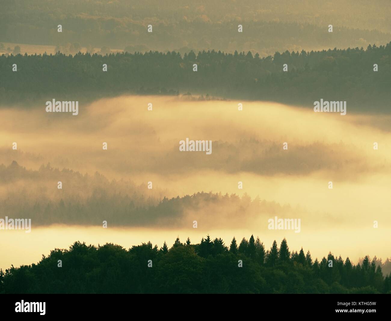 Magnificent heavy mist in landscape. Autumn creamy fog in landscape ...