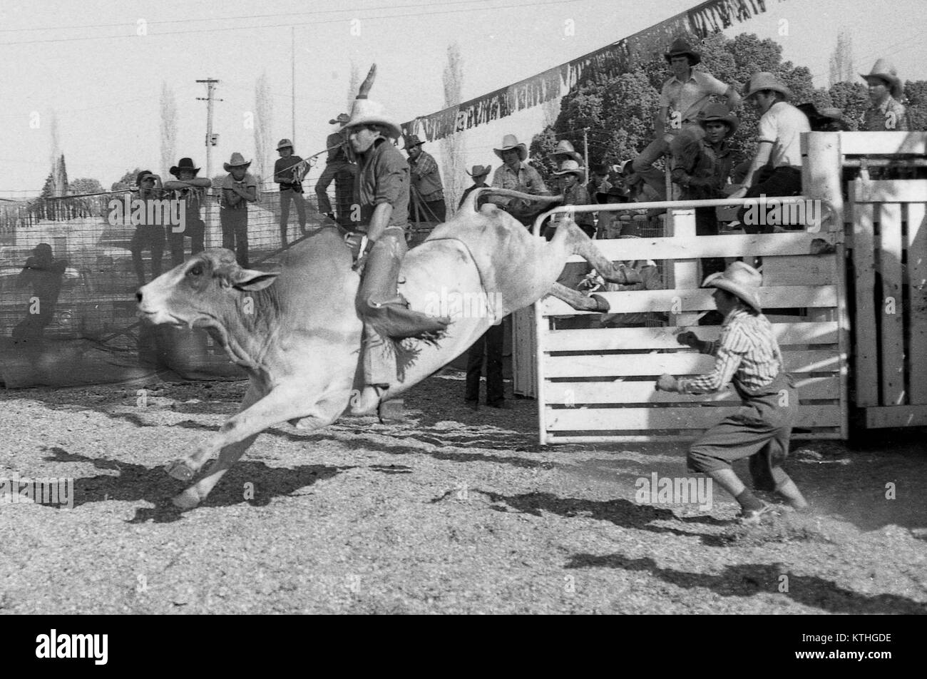 Australian rodeo High Resolution Stock Photography and Images - Alamy