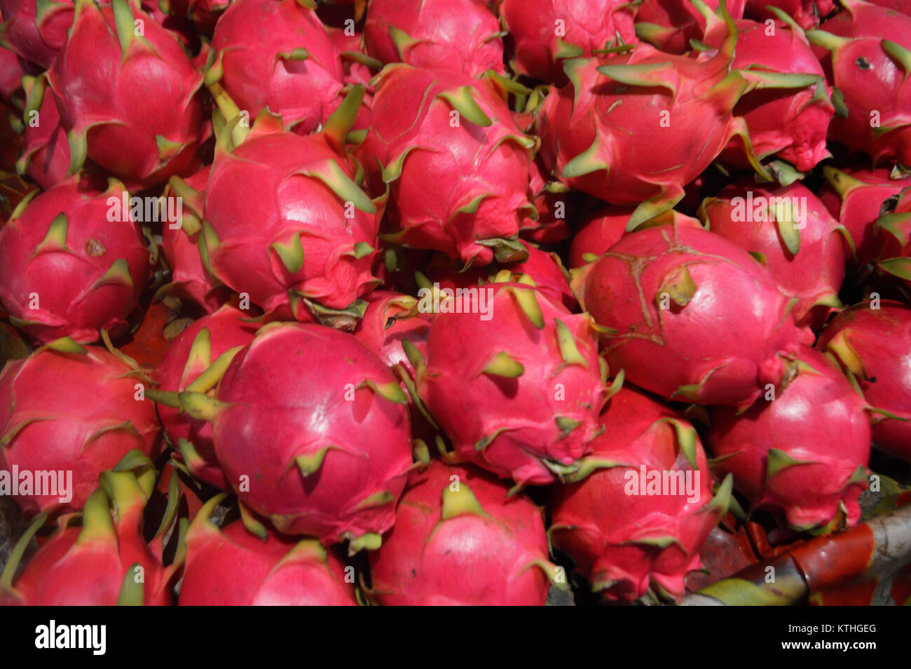 Beautiful pink Asian Dragon fruits in market of Thailand Stock Photo ...