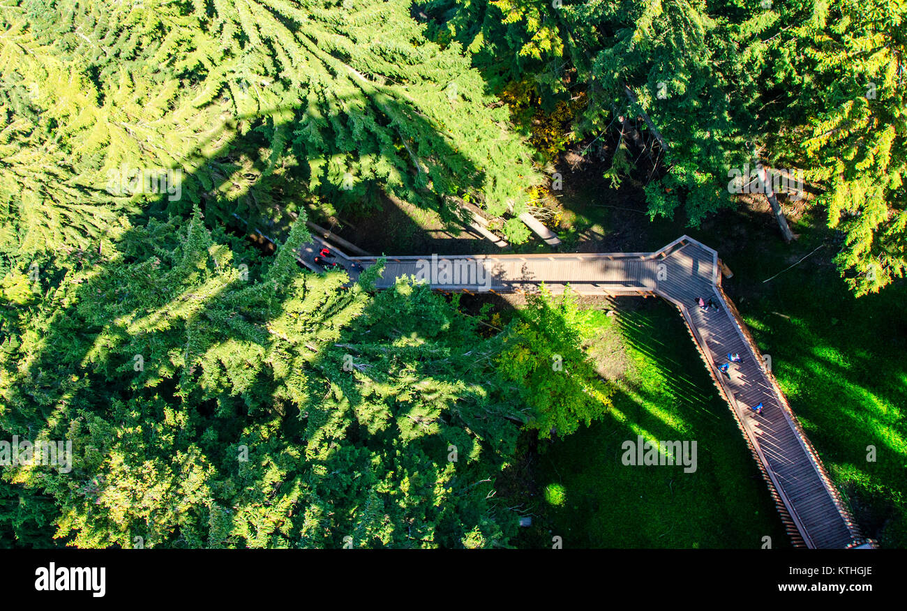 the path in the tree crowns in the czech country Stock Photo - Alamy
