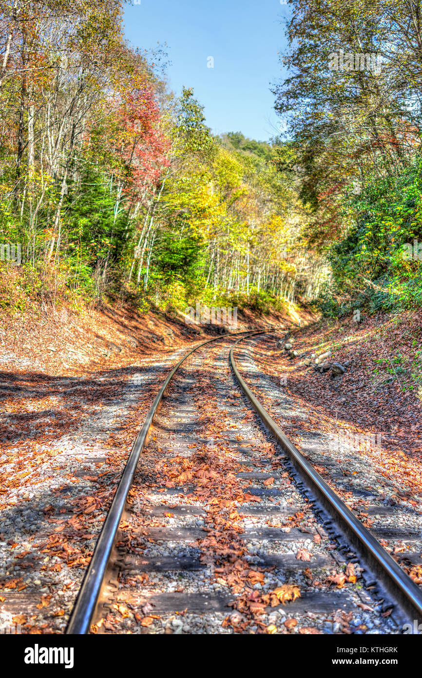 Autumn Railroad