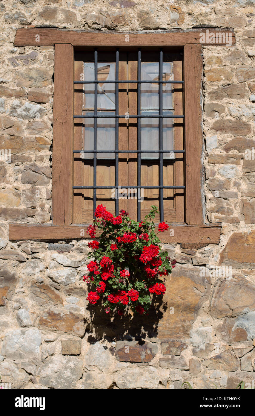 Window and flowers Stock Photo - Alamy