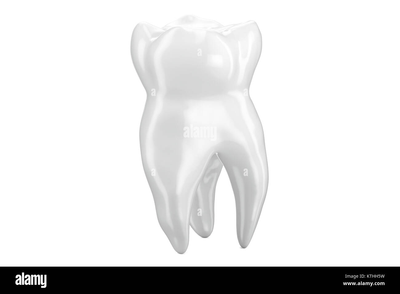 Human Tooth closeup, 3D rendering isolated on white background Stock ...