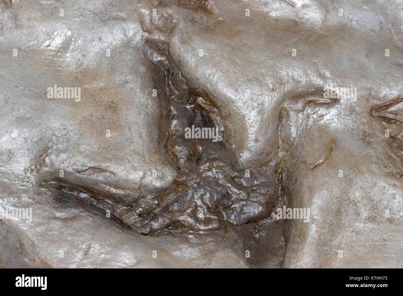 Dinosaur track from an emu-sized theropod, Cretaceous, China Stock ...