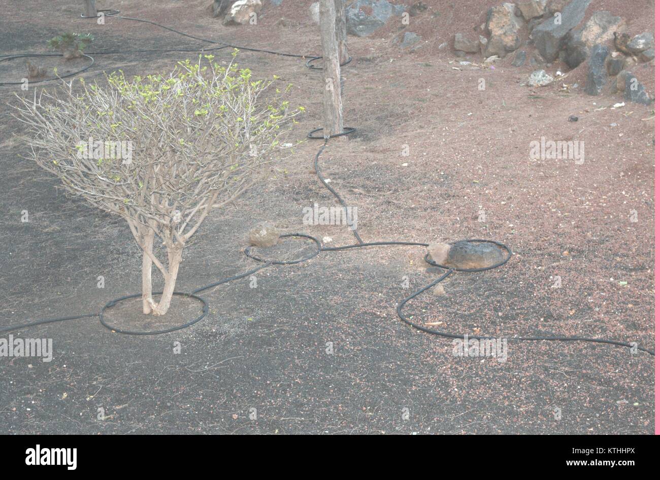 Broken tree water system hi-res stock photography and images - Alamy