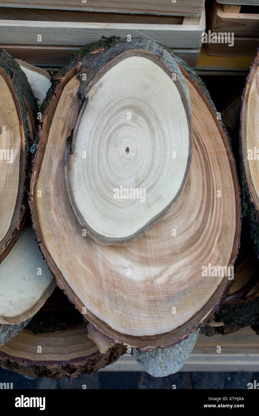 Wood Log cut in round thin pieces in view Stock Photo - Alamy