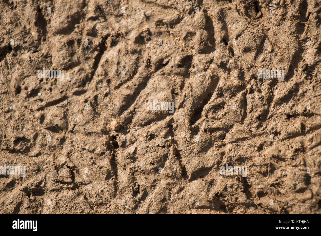 Soil surface as a background texture Stock Photo - Alamy