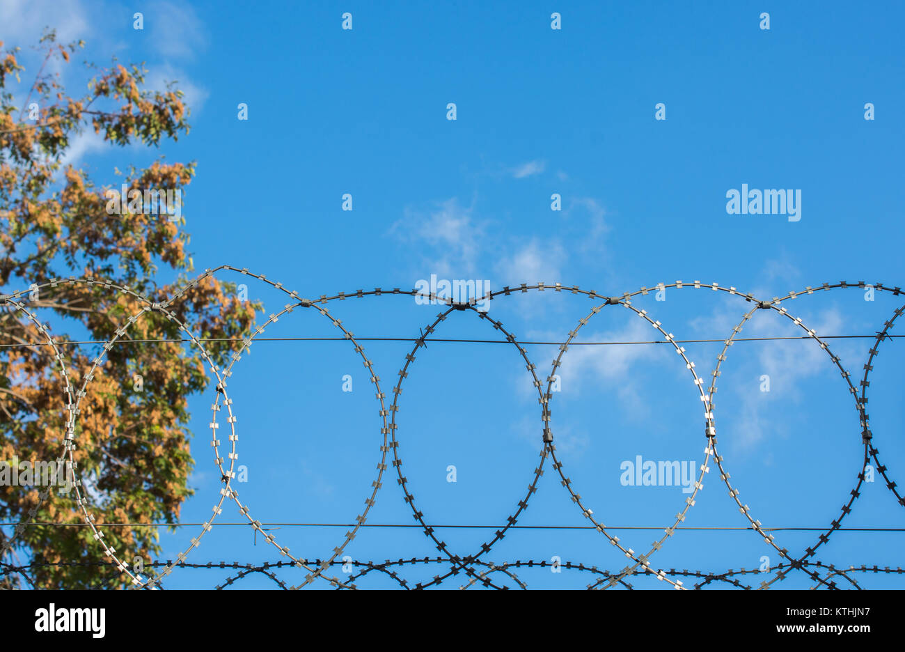 barbed wire fence used for protection purposes Stock Photo - Alamy