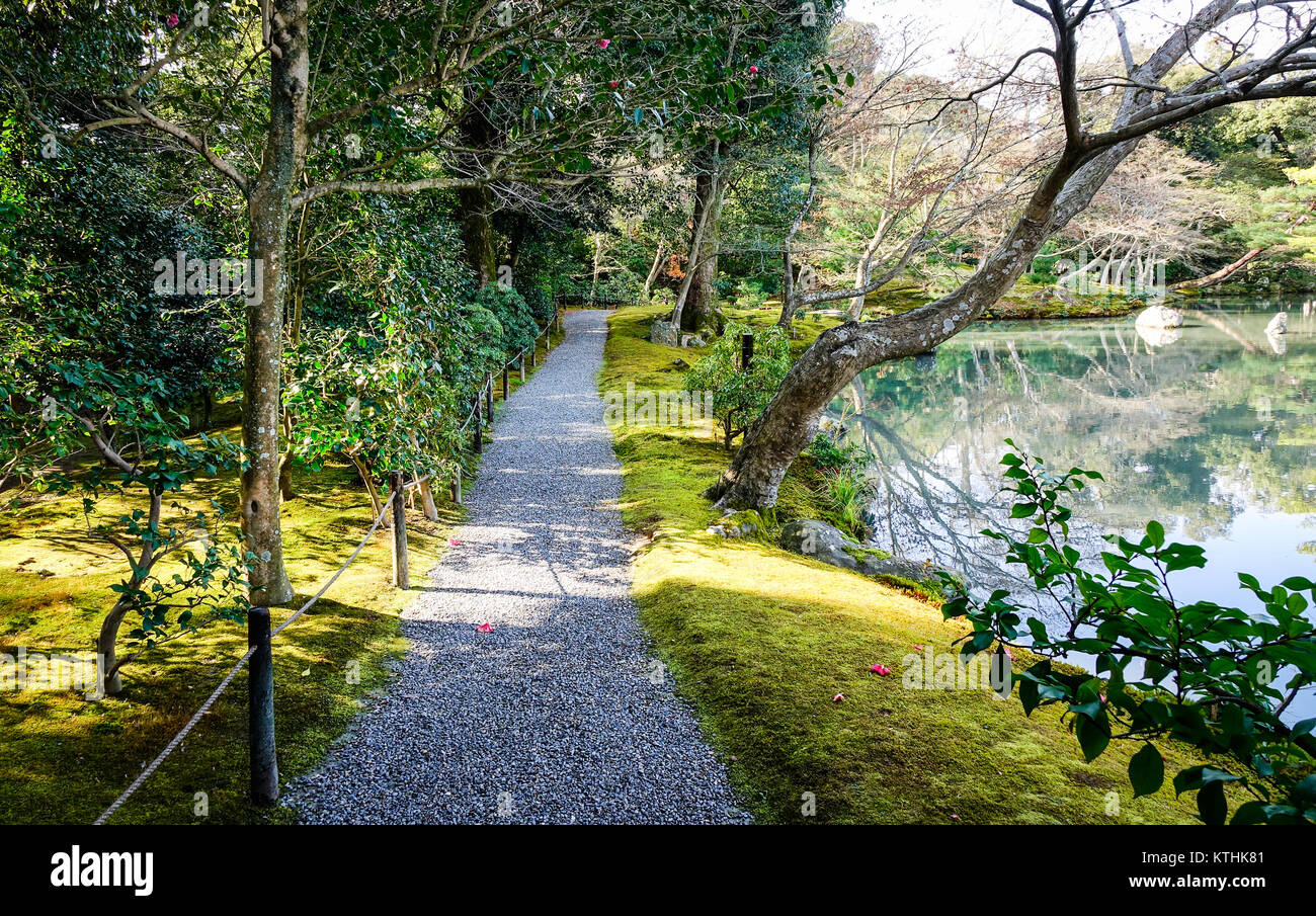Stone road with many trees at garden in Kyoto, Japan Stock Photo - Alamy