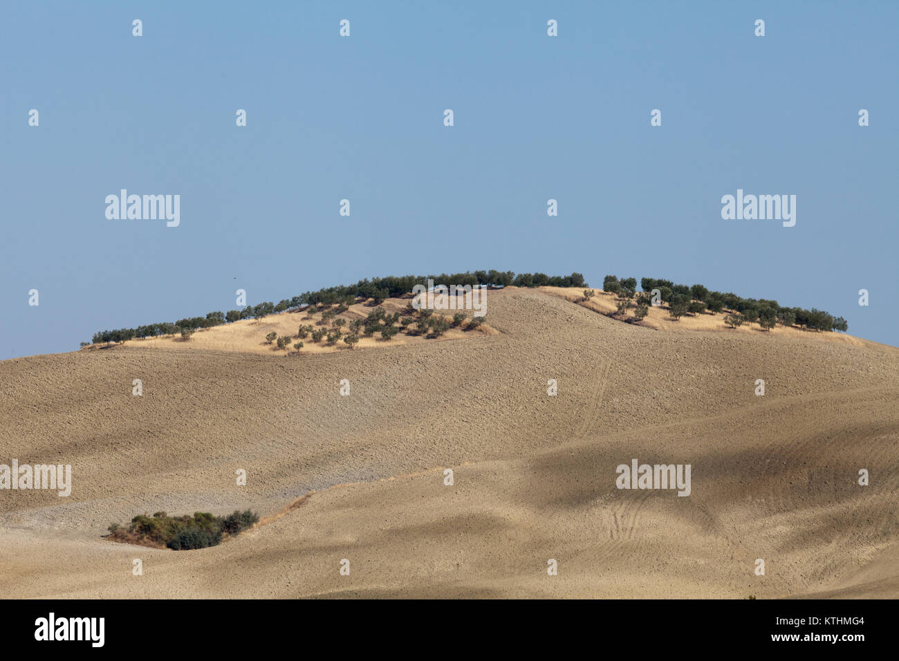 The landscape of the Tuscany. Italy Stock Photo - Alamy