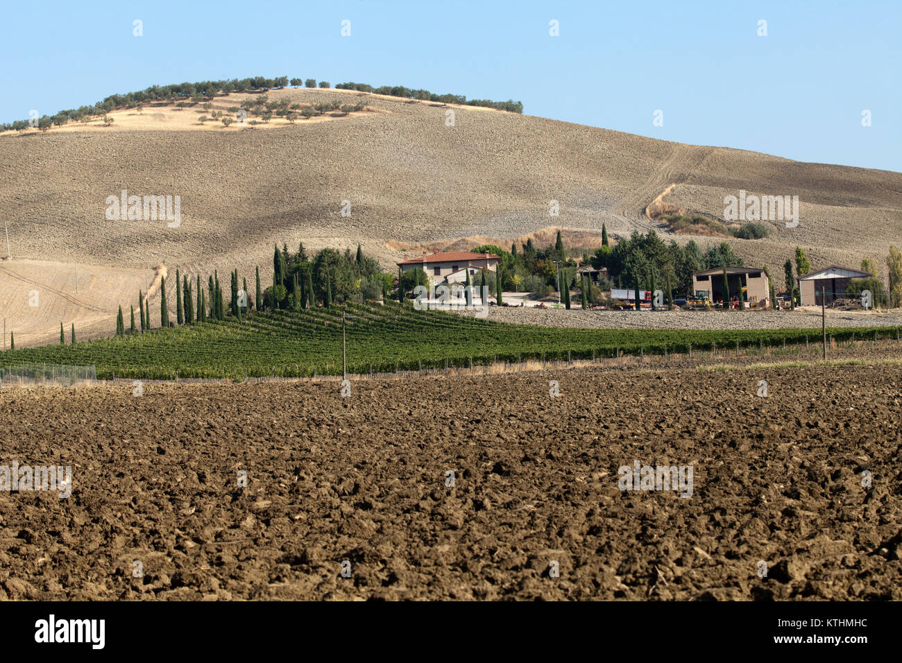 The landscape of the Tuscany. Italy Stock Photo - Alamy